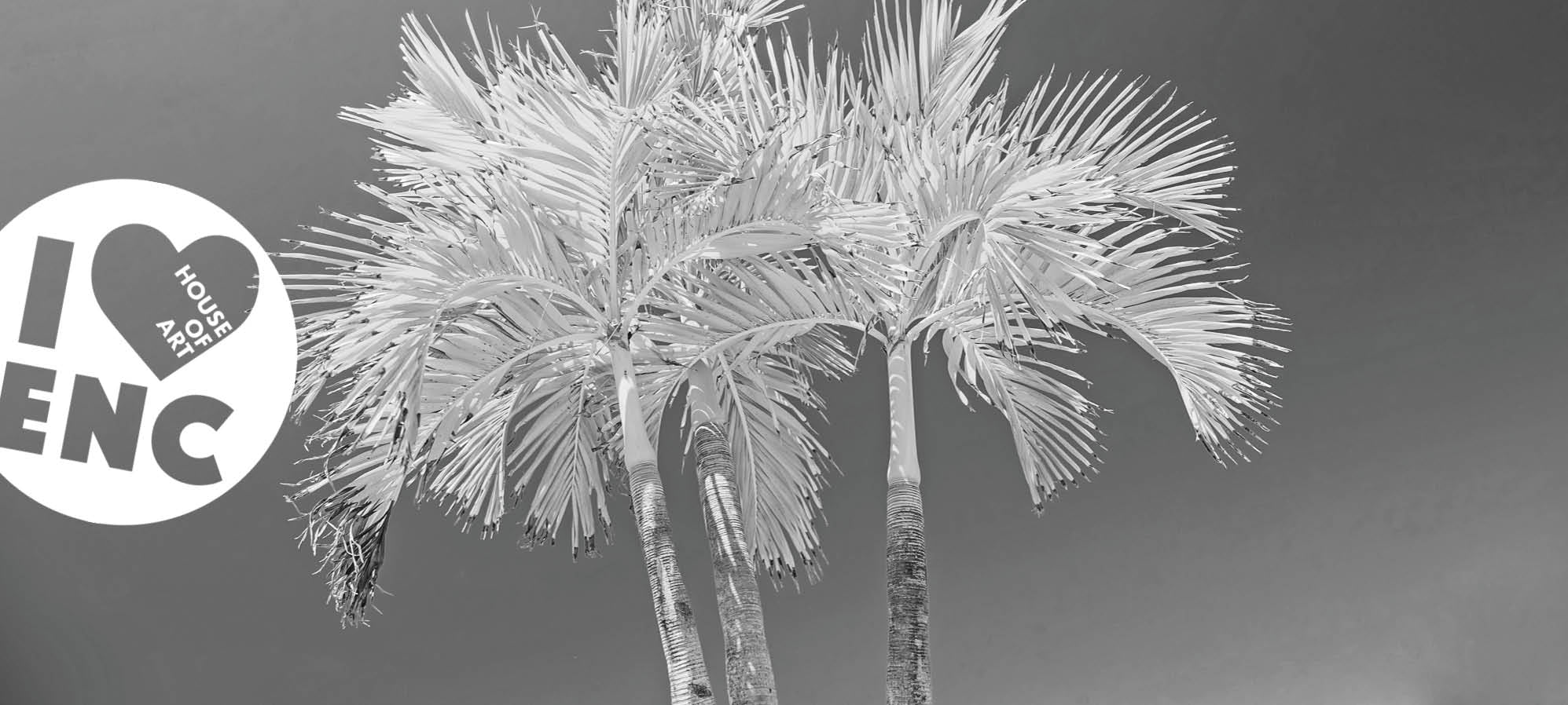 Coloring Pages – Encinitas House of Art